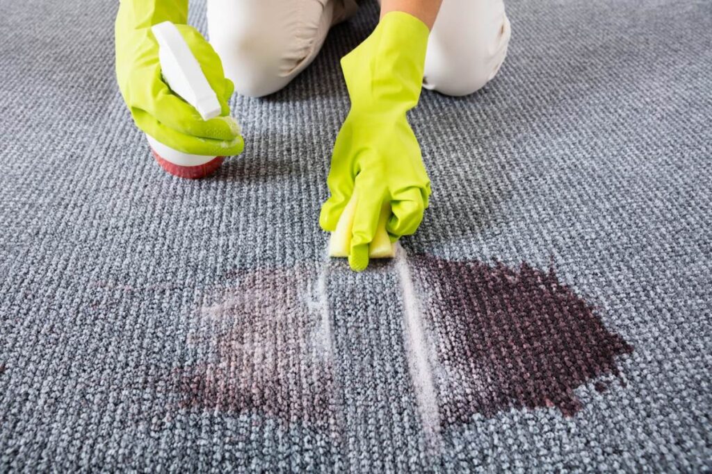 What is Spot Cleaning? Techniques Explained